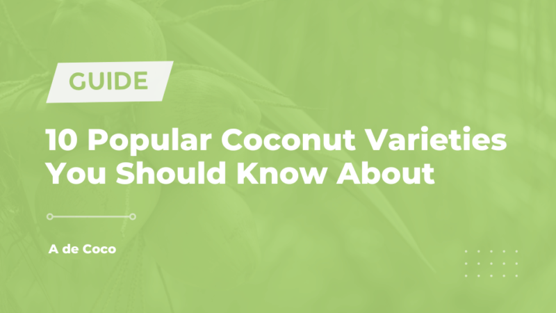 10 Popular Coconut Varieties You Should Know | A de Coco US
